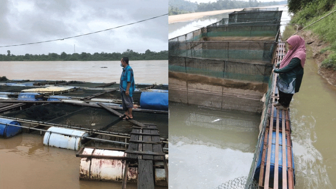 Fenomena air Sungai Pahang surut lebih teruk dari 1996, ramai alami ...
