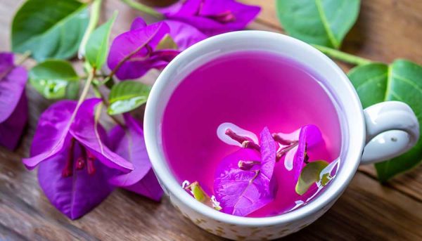 Ramai tidak tahu banyak khasiat kesihatan teh bunga kertas, ini cara ...